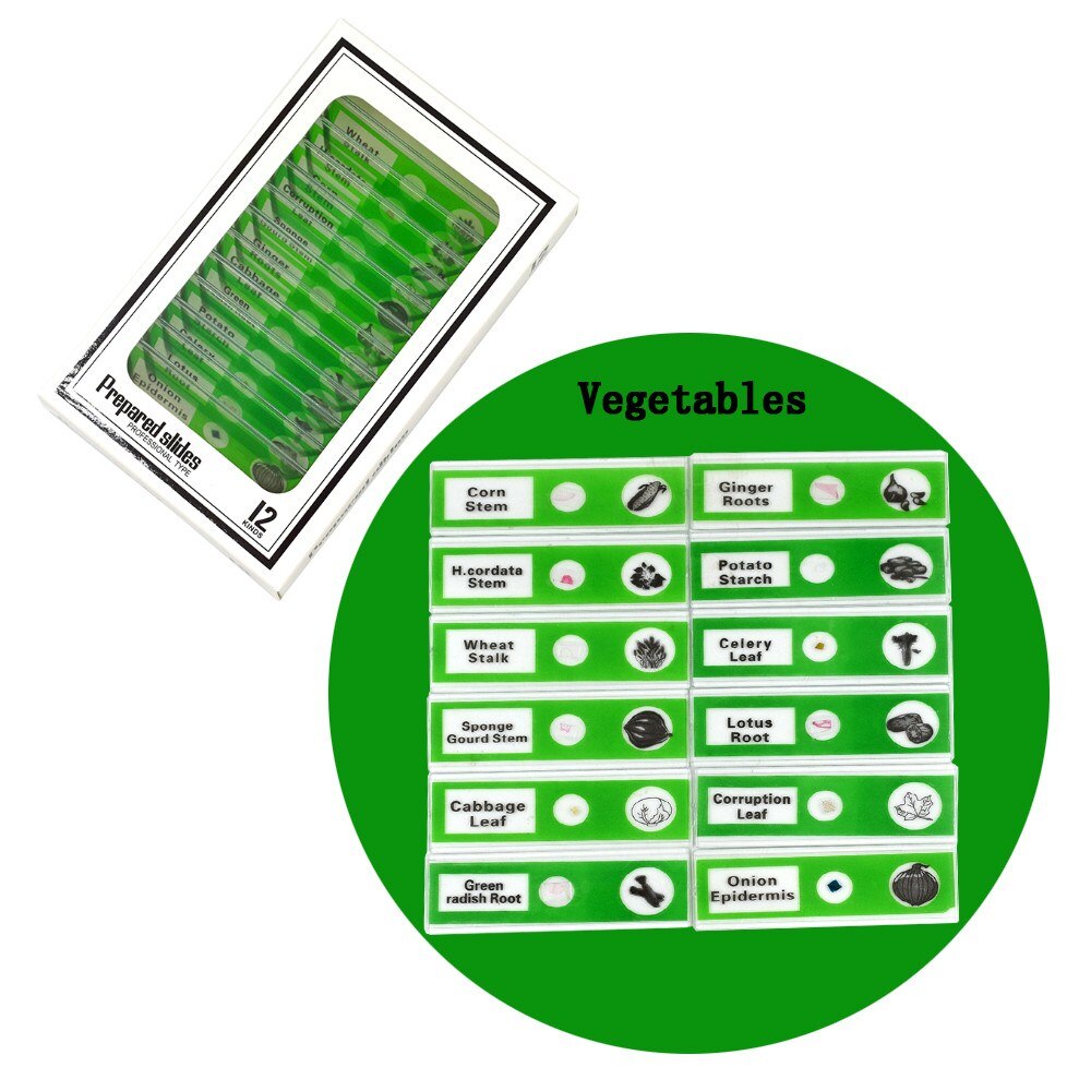 Chanseon 12pcs/set Plastic Microscope Slides Biolo... – Grandado