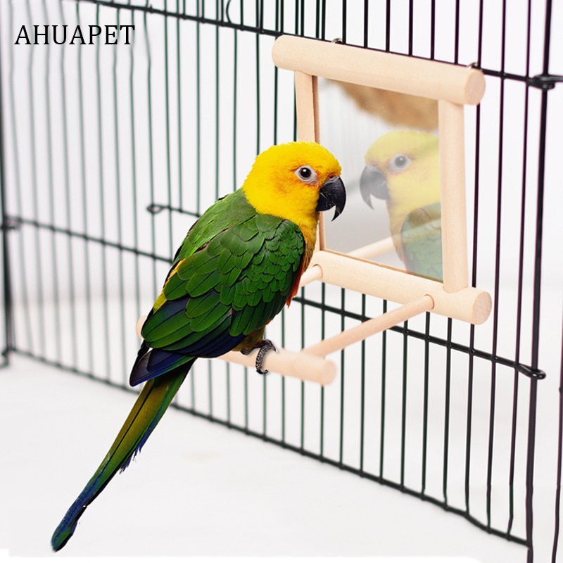 AHUAPET Funny Mini Bird Colourful Mirror Cama Beli... – Grandado