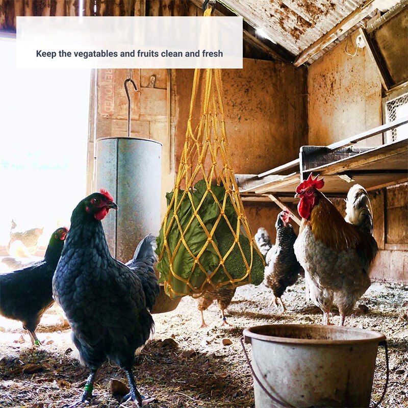Kip Groente Netto Zak Gevogelte Fruit Houder Kip K... – Grandado