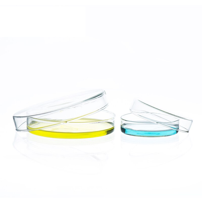 Borosilicate Glass Petri Dishes Bacteria Petri Dis... – Vicedeal