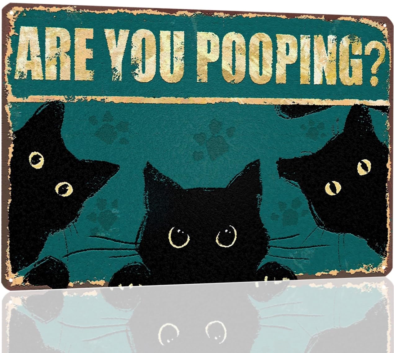 Duiseno Are You Pooping Restroom Decoration Vintag... – Vicedeal