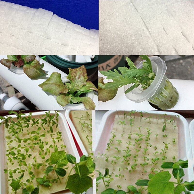 100pcs Cultivation Seedlings Vegetables Plant Nurs... – Grandado