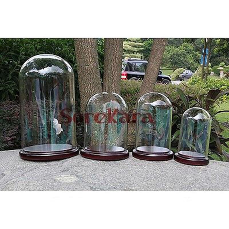 150x260cm Vintage Glass Dome Bell Jar With Dark Wo... – Grandado
