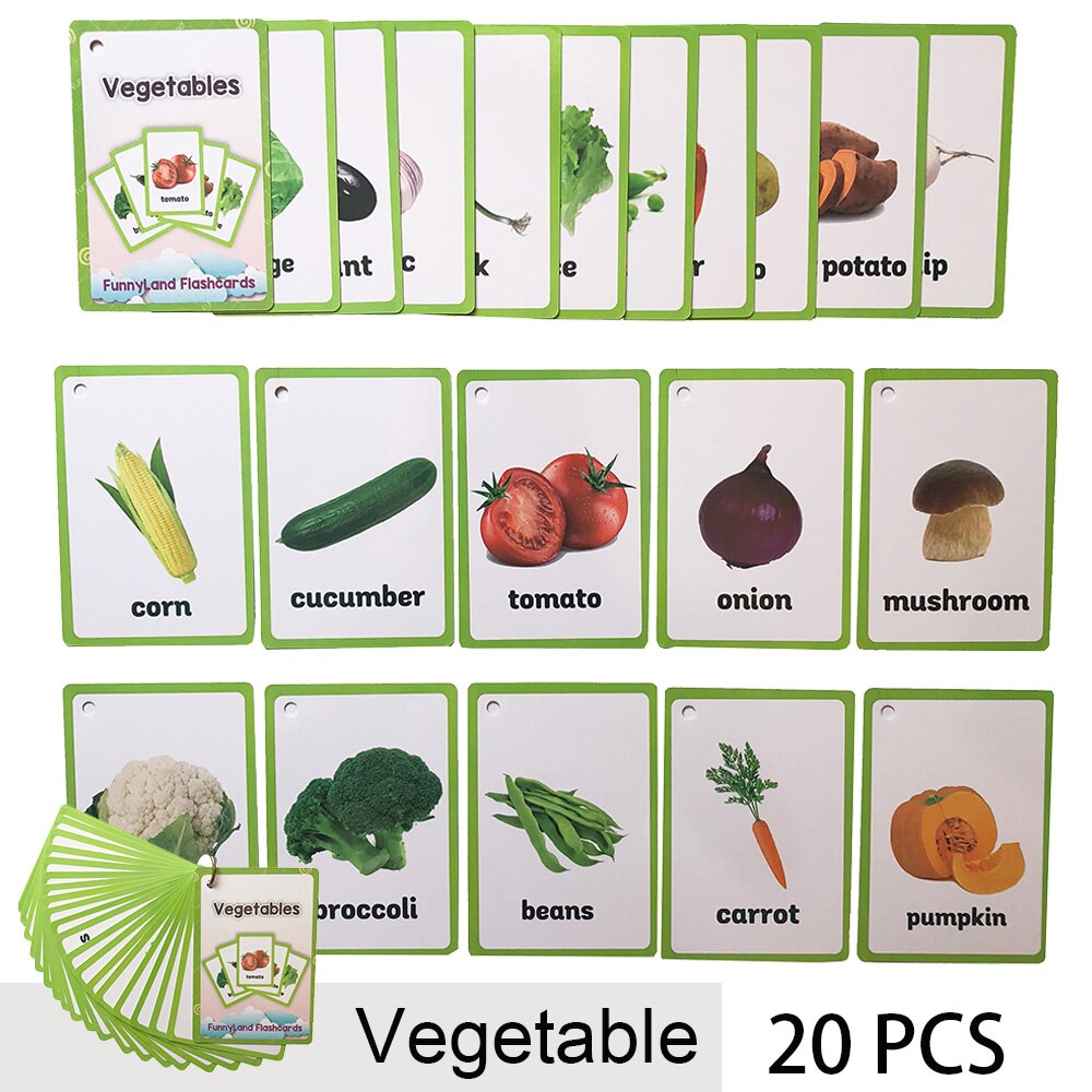 20 Pcs/Set Fruits Vegetable Kids Fun English Word ... – Grandado