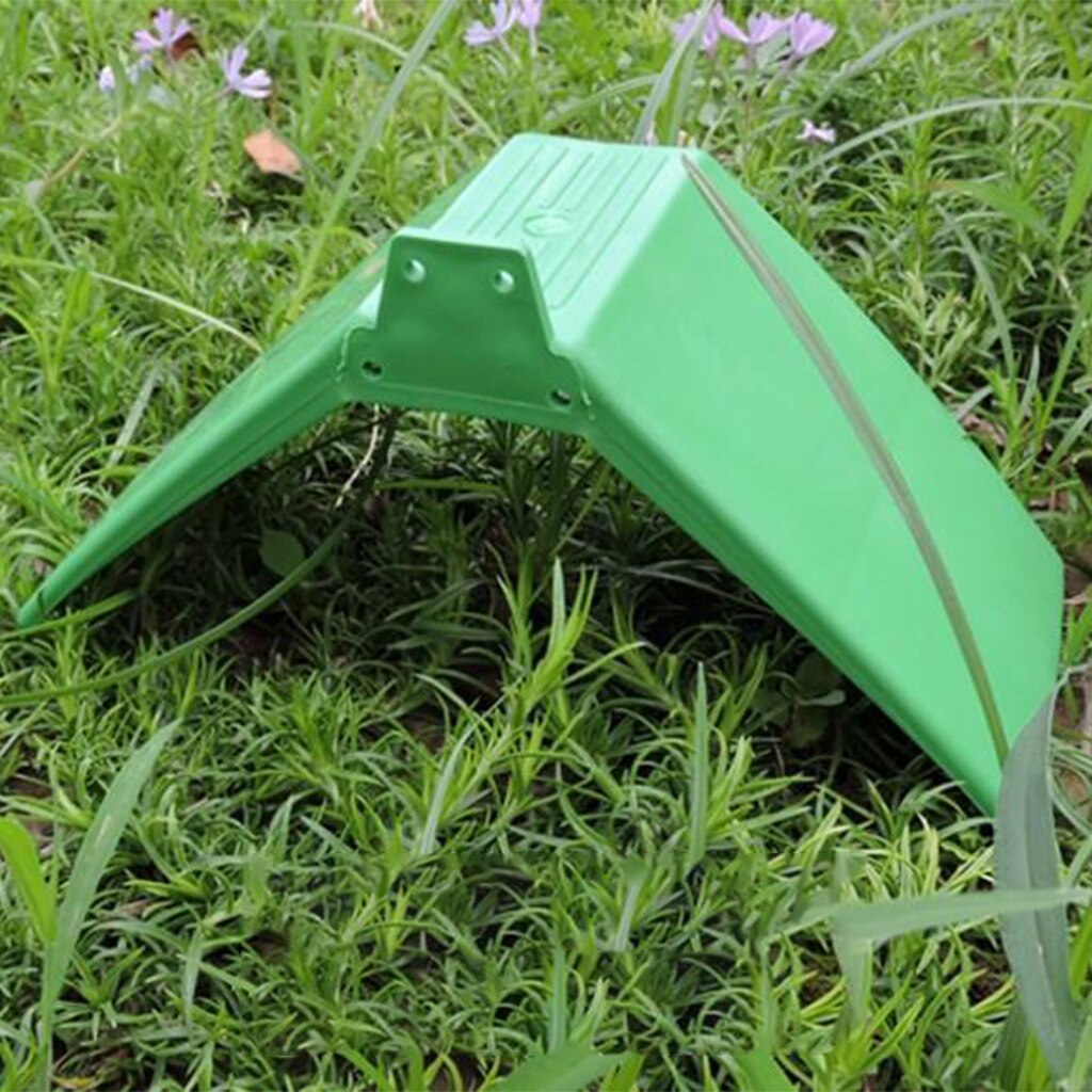 10 pcs Rest Stand Bird Perches for Pigeon Roost Bi... – Grandado