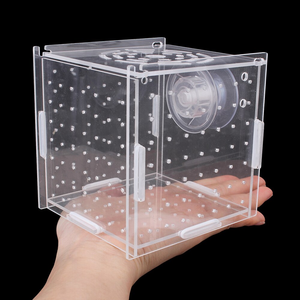 10X10X10CM Tropical Fish Breeding Box Fish Tank Aq... – Grandado