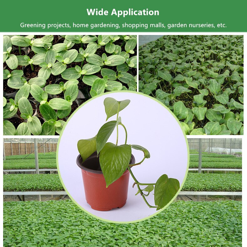 50 Stuks Mini Plastic Ronde Bloempot Houder Plante... – Grandado 50 Stuks Mini Plastic Ronde Bloempot Houder Plante... – Grandado