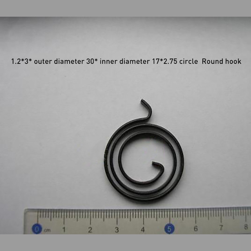 Anti Theft Door Lock Scroll Spring Door Lock Sprin... – Vicedeal