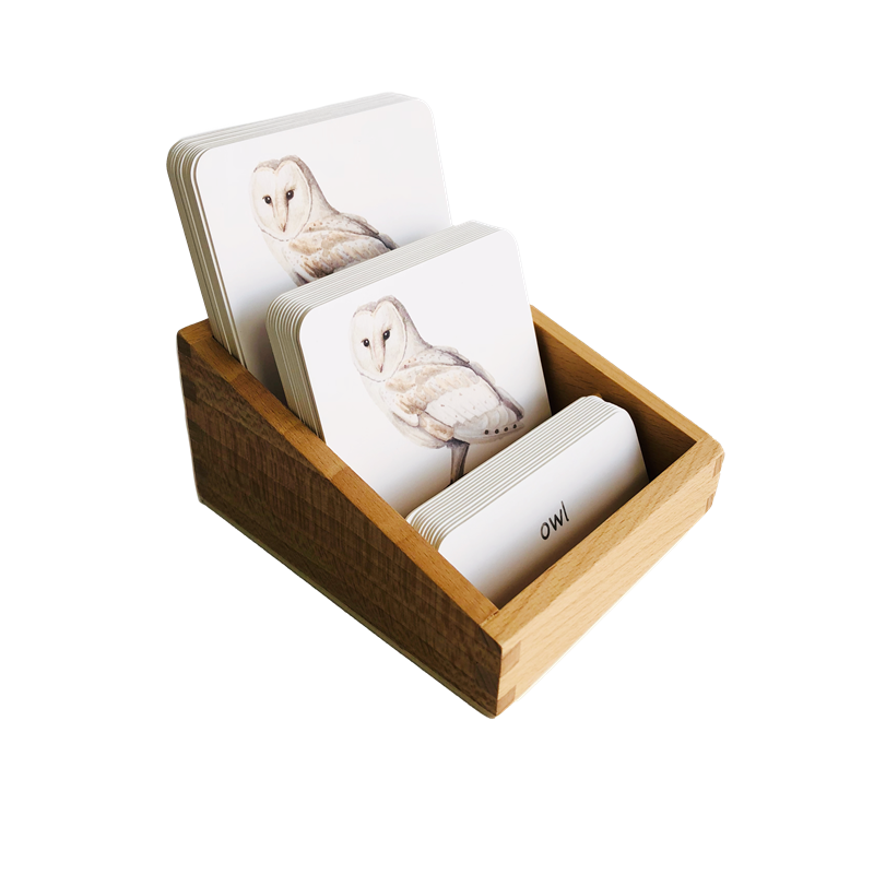 Montessori Language Materials 3 Part Cards of Bird... – Grandado