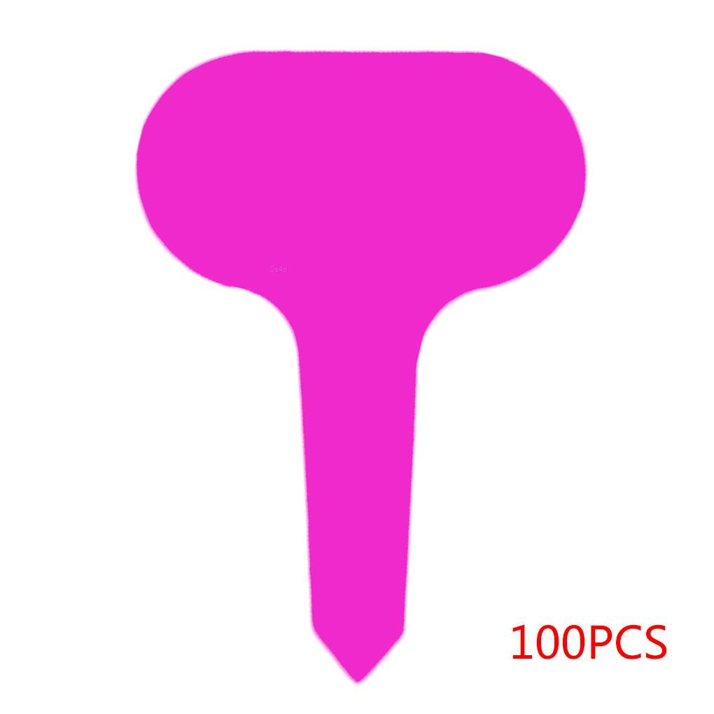 100pcs Plastic Plant Type T Label Nursery Garden P... – Vicedeal