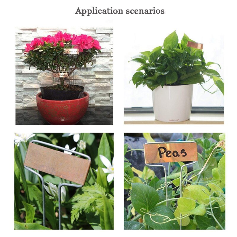 3/5/10pcs Metal Plant Labels Succulents Flowers Bo... – Vicedeal