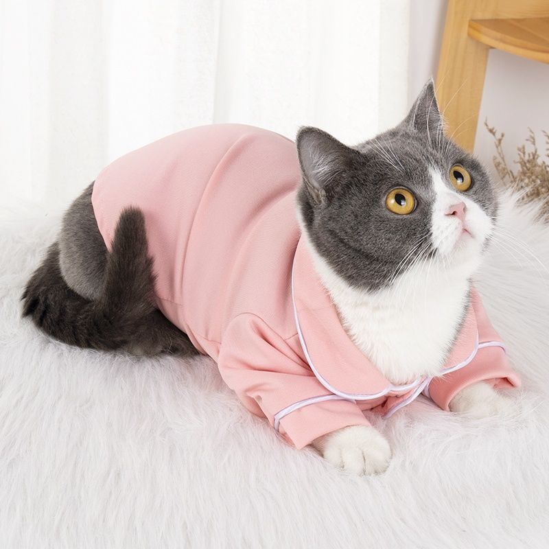 Summer Pet Clothes Pet Pajamas Cat Clothes for Sma... – Grandado