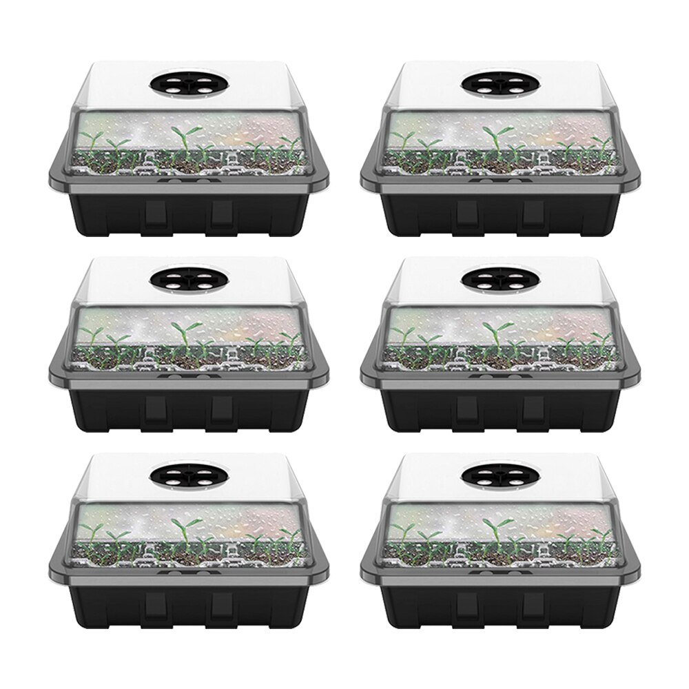 6pcs 12 Cells Seedling Trays Seed Starter Kit Plan... – Grandado