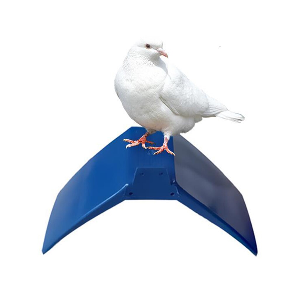 10 pcs Rest Stand Bird Perches for Pigeon Roost Bi... – Grandado