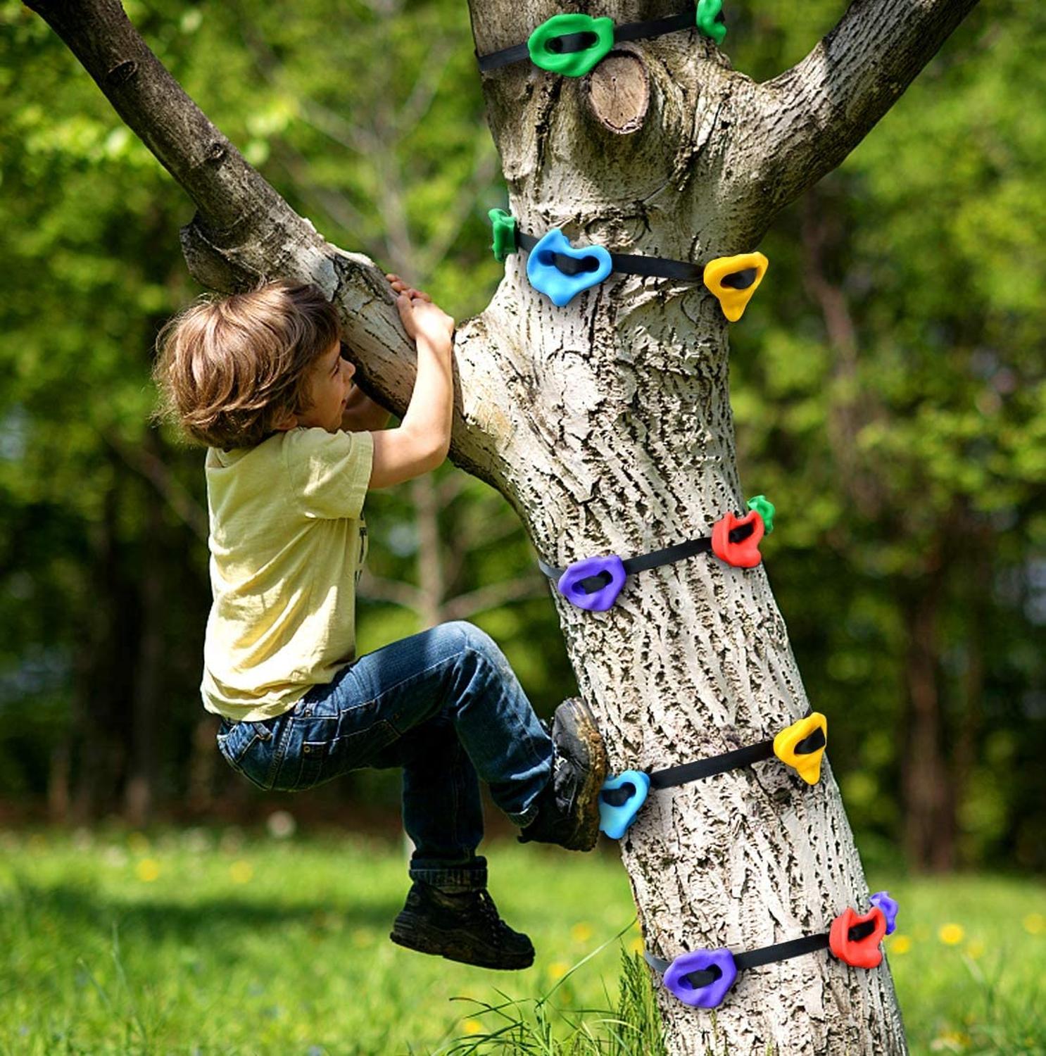 12 Tree Climbing Holds for Kids Climber, Adult Cli... – Vicedeal