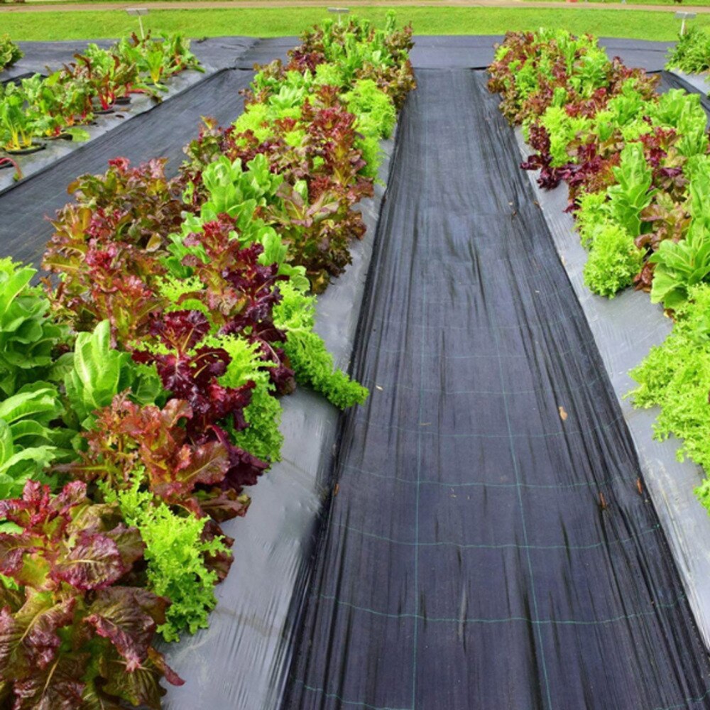 Landscape Ground Cover Eed Control Fabric PP Weedi... – Grandado