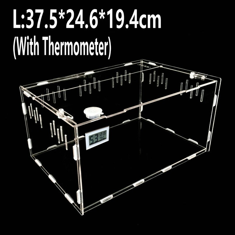 Transparent Acrylic Reptile Box for Spiders Tortoi... – Vicedeal