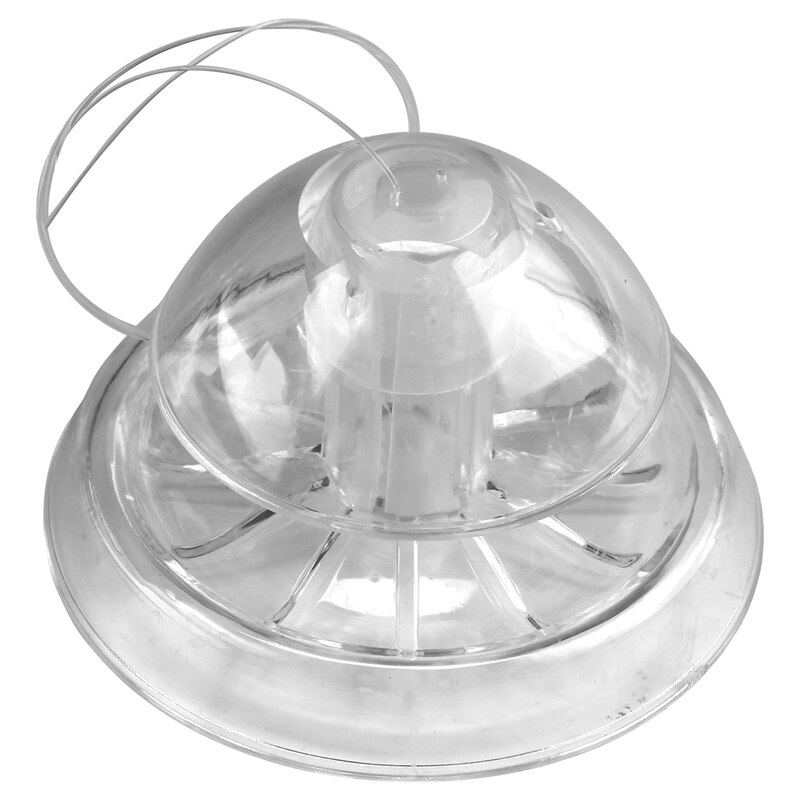 ! Slak Val Voor Aquarium, Aquarium Fish Tank Plant... – Vicedeal