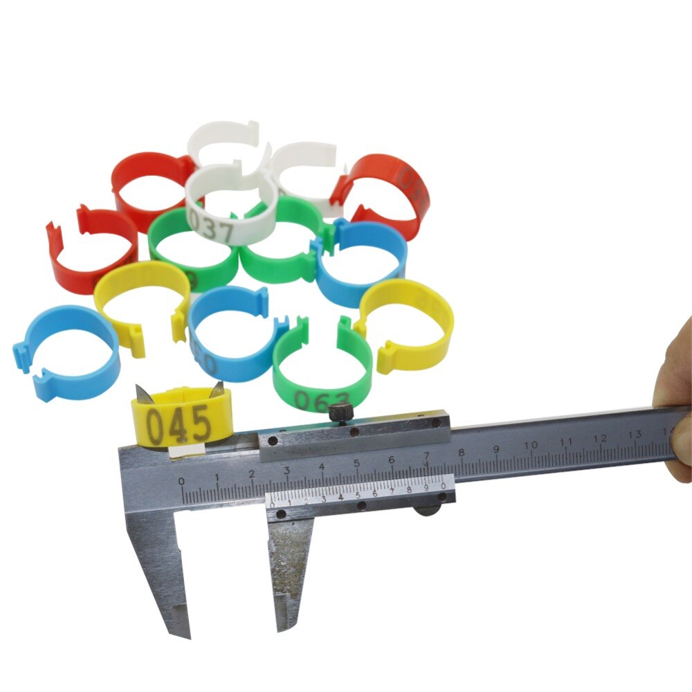 Pluimvee Been Kuiken Eend Gans Animal Identificati... – Vicedeal