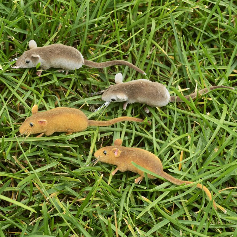 4 x Realistic Clay Mouse Animal Lawn Ornament Stat... – Grandado