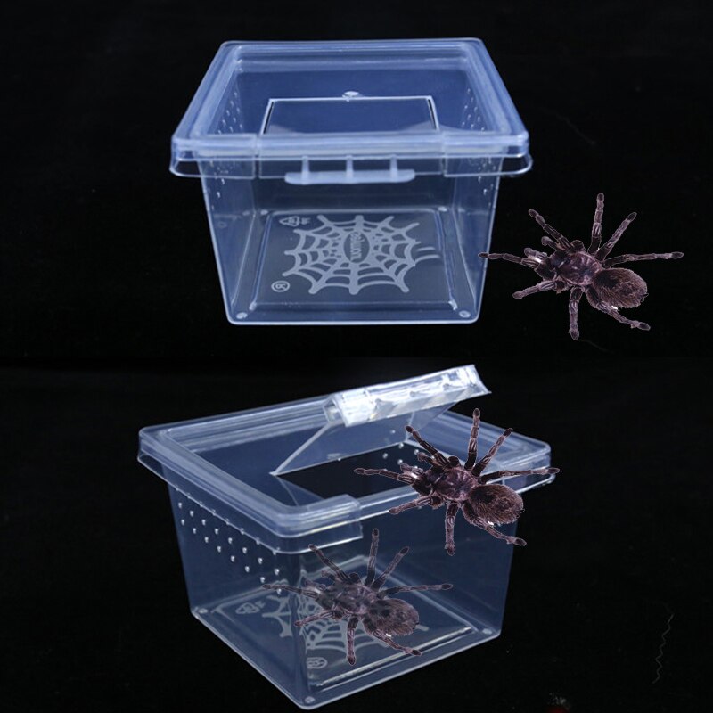 1pcs Feeding Acrylic Box Reptile Cage Hatching Con... – Vicedeal