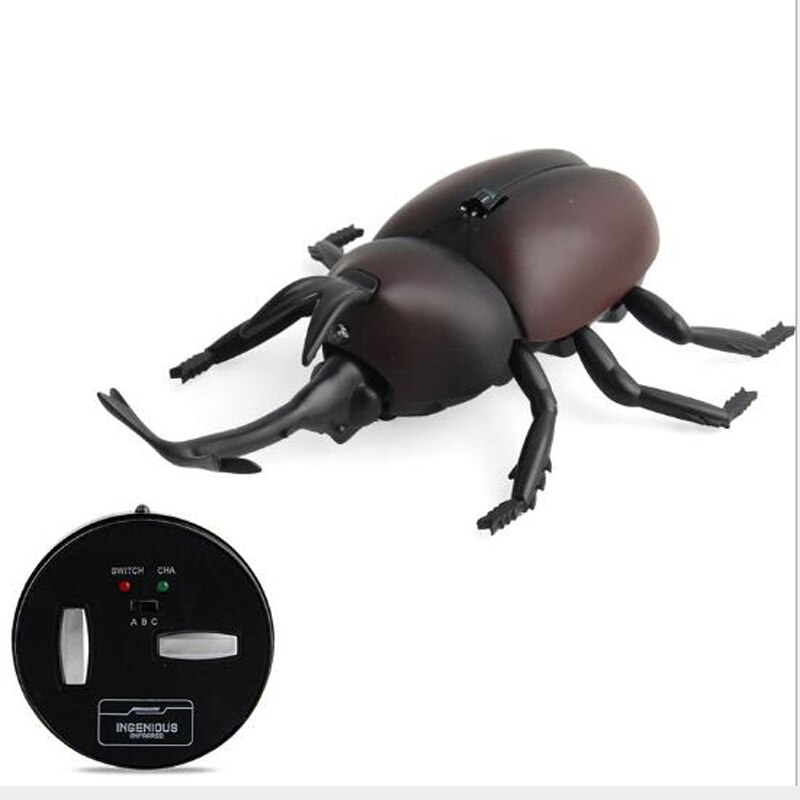 Infrared Remote Control Simulation Beetle Terrifyi... – Grandado