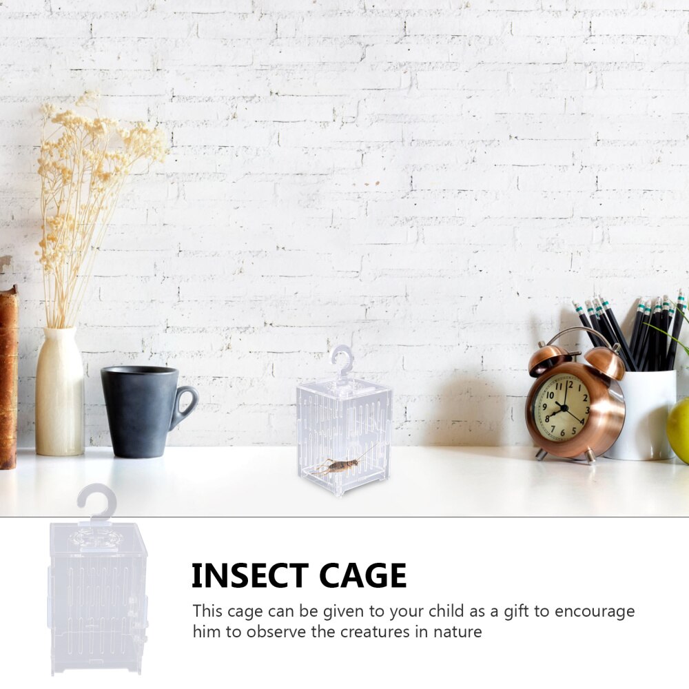 Insect House Bug Box Transparent Insect Cage Grass... – Grandado