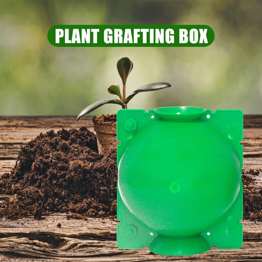 Growing Box Kit Plant Rooting Ball Grafting Breedi... – Grandado