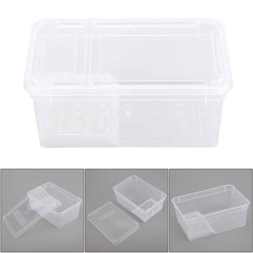 Reptile Breeding Box Acrylic Insect Terrarium Sala... – Grandado