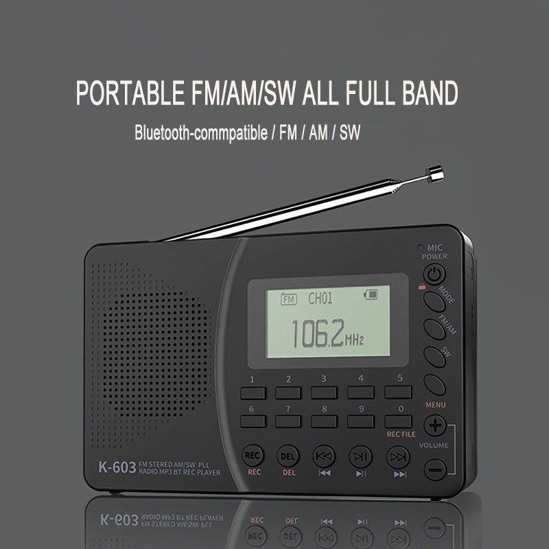 Portable Radio FM AM SW Radio Receiver DSP Shortwa... – Grandado