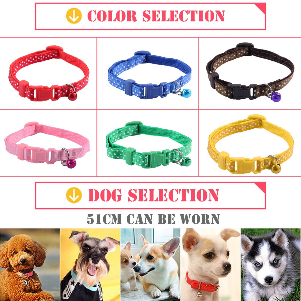 Dog Cat Standing Training No-Sit Pet Haunch Holder... – Grandado