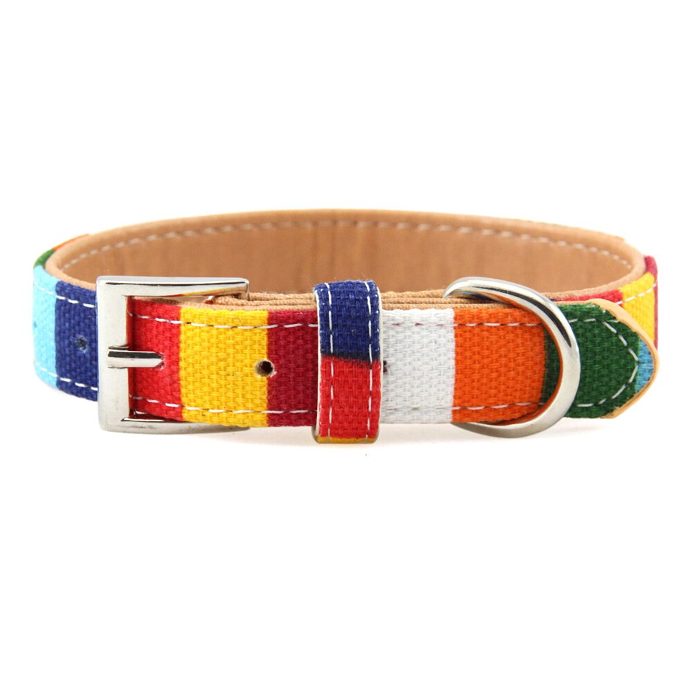 Colorful stripe Leather Dog Collar Padded Puppy Ne... – Grandado
