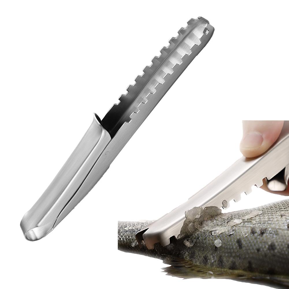 304 Stainless Steel Fish Scaler With A Hole V-shap... – Grandado