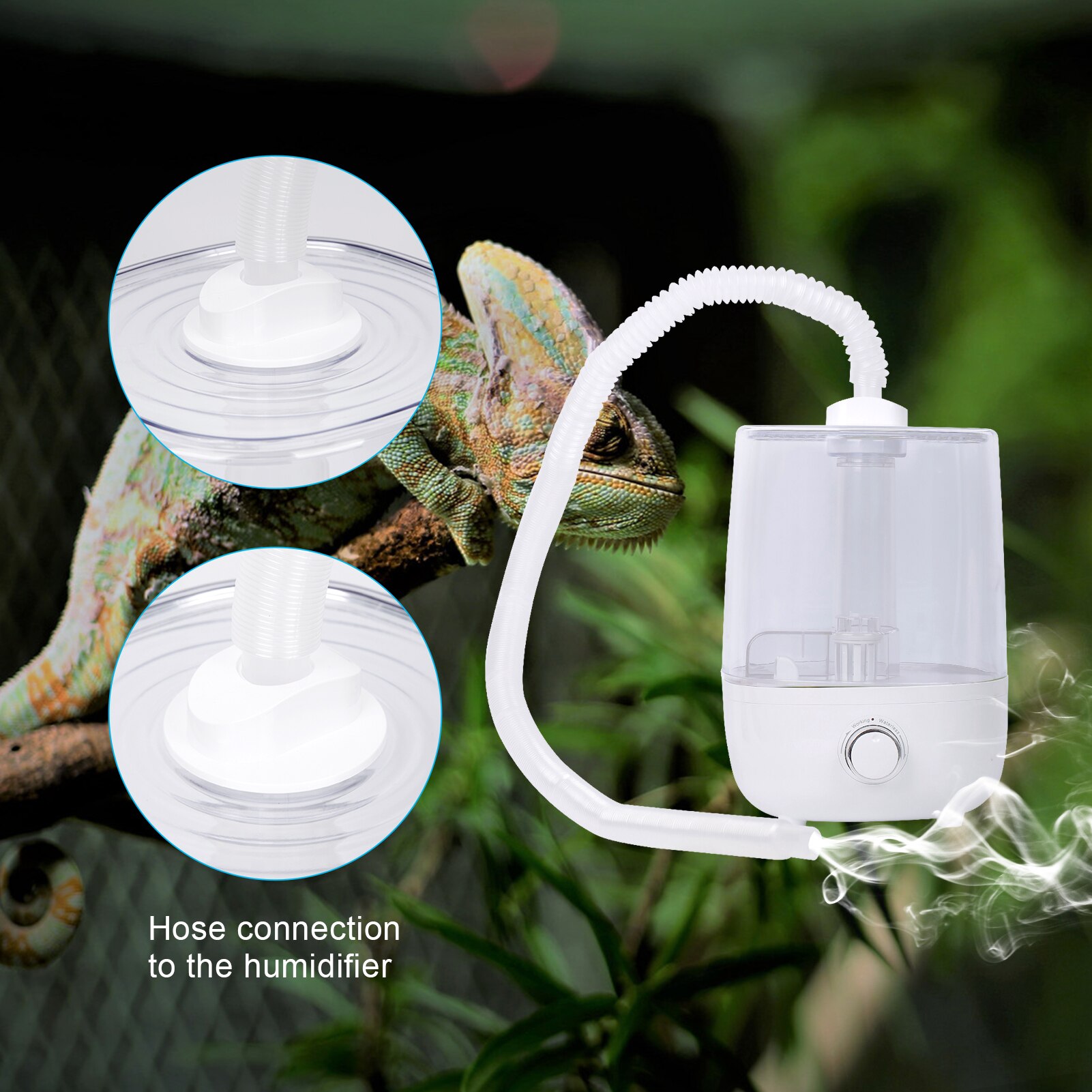 4L Pet humidifier reptile humidifier pet box humid... – Grandado