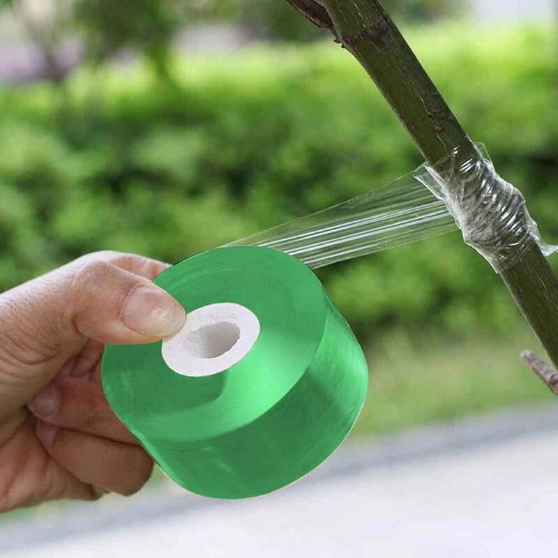 10 Roll Grafting Tape Clear Floristry Plant Repair... – Grandado
