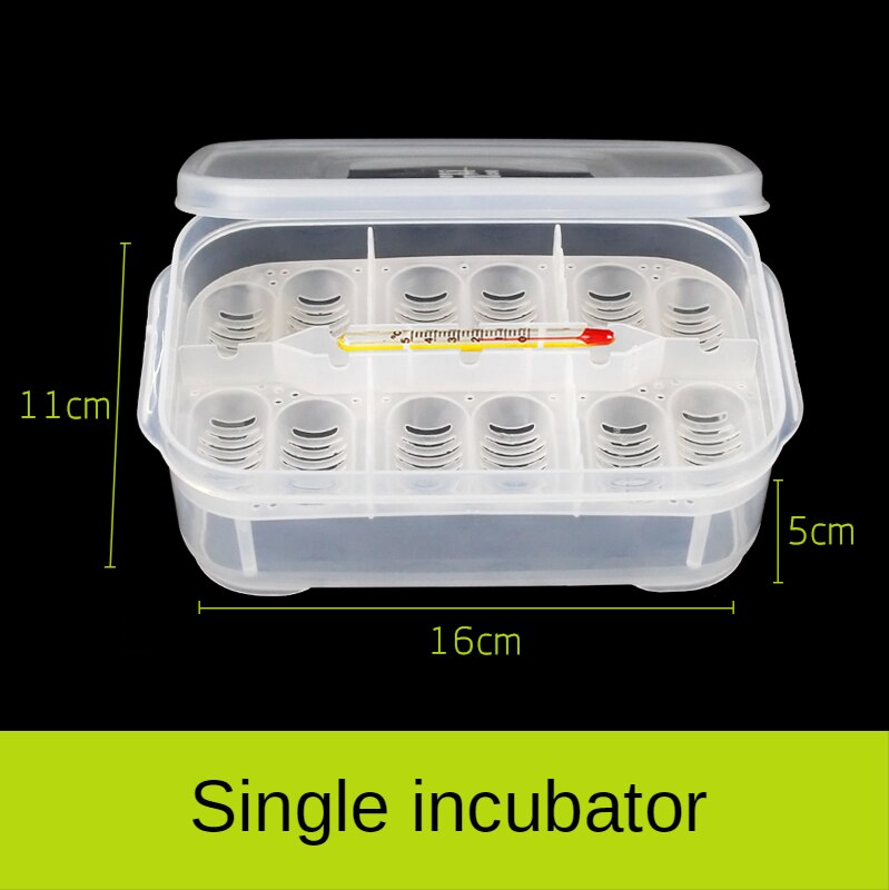 Tortoise Hatching Box Snake Lizard Egg Crawling Pe... – Vicedeal