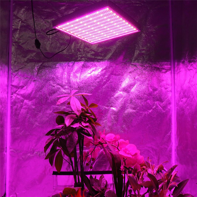 200W Plants Grow Light Panel LED Full Spectrum Ind... – Vicedeal