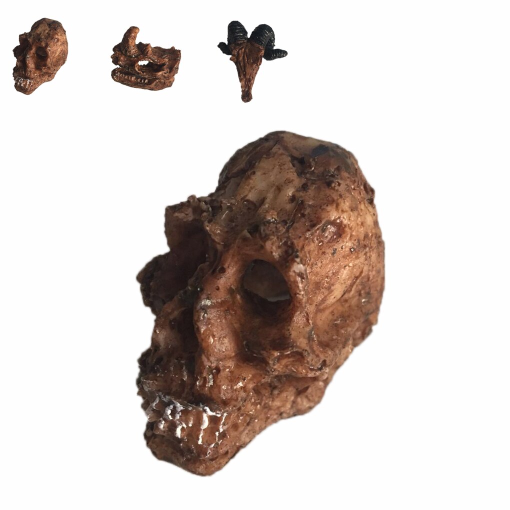 Halloween Aquarium Decorative Resin Skull Crawler ... – Vicedeal