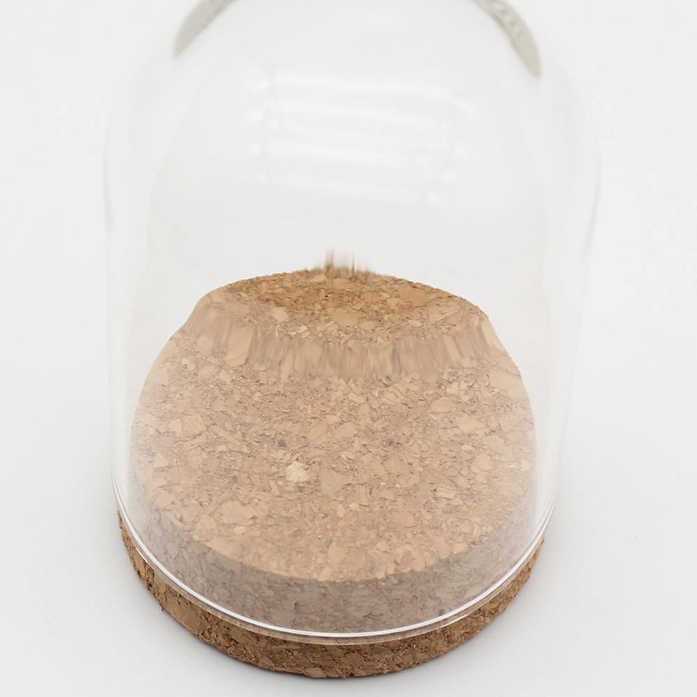 Glass Dome Display Wood Cork Bell Jar Cover Cloche... – Grandado