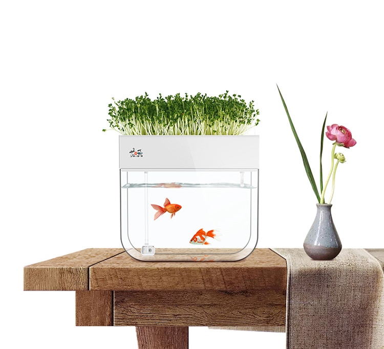 Water-free Ecological Goldfish Tank Living Room Ho... – Vicedeal