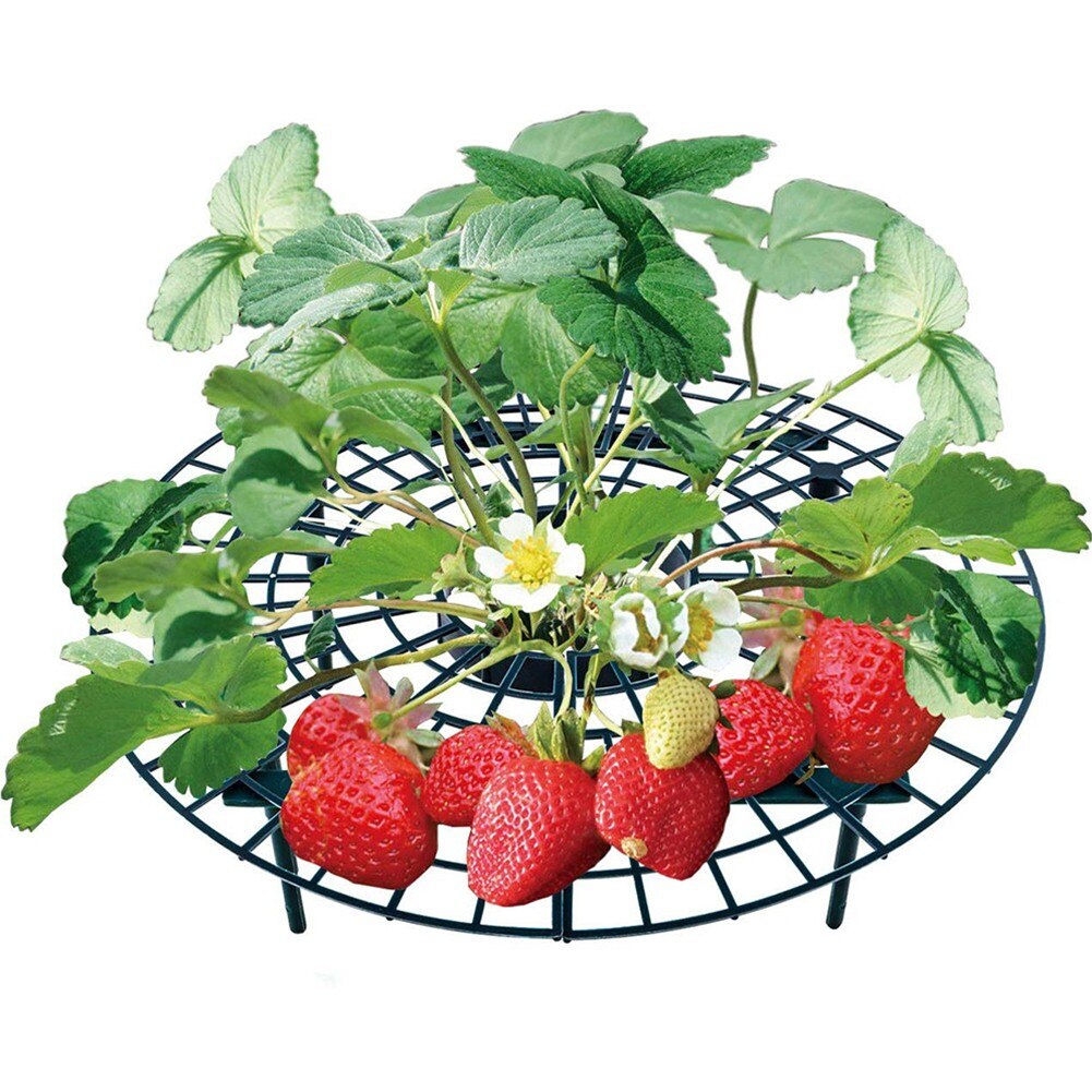 Strawberry Stand Plant Support Frame Holder Balcon... – Vicedeal