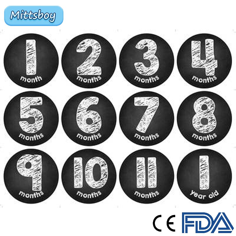 12 Sheet Milestone Cartoon squirrel Photo Sharing ... – Vicedeal