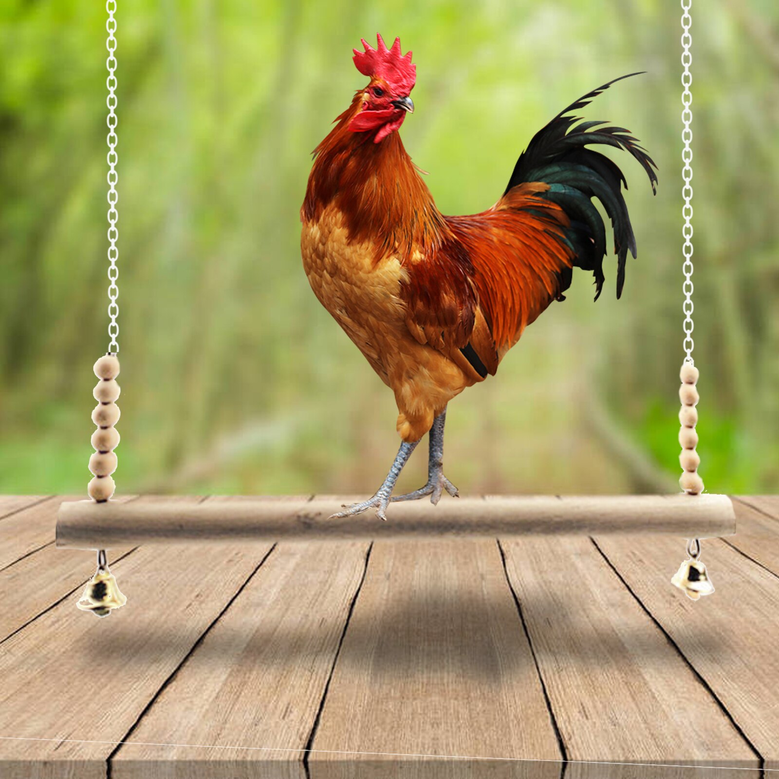Chicken Swing Toy For Coop Natural Safe Wooden Acc... – Grandado