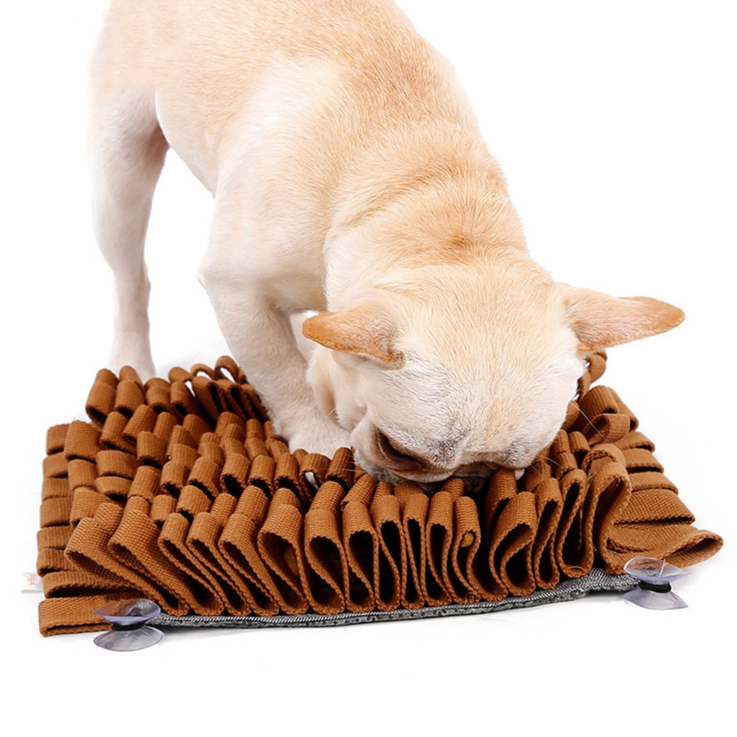 Kat Hond Snuffle Mat Bite Slip Hond Snuiven Pad Ka... – Grandado