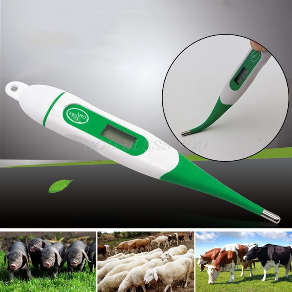 Pet Digital Thermometer for Accurate Detection Sui... – Grandado