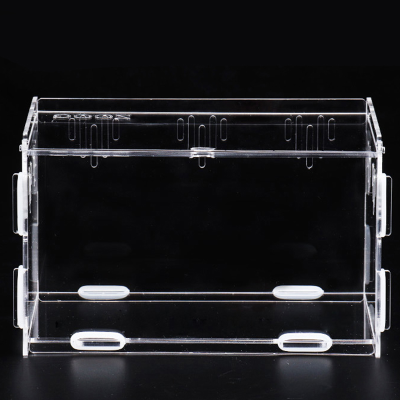Transparent Reptile Breeding Box Acrylic Feeding B... – Grandado