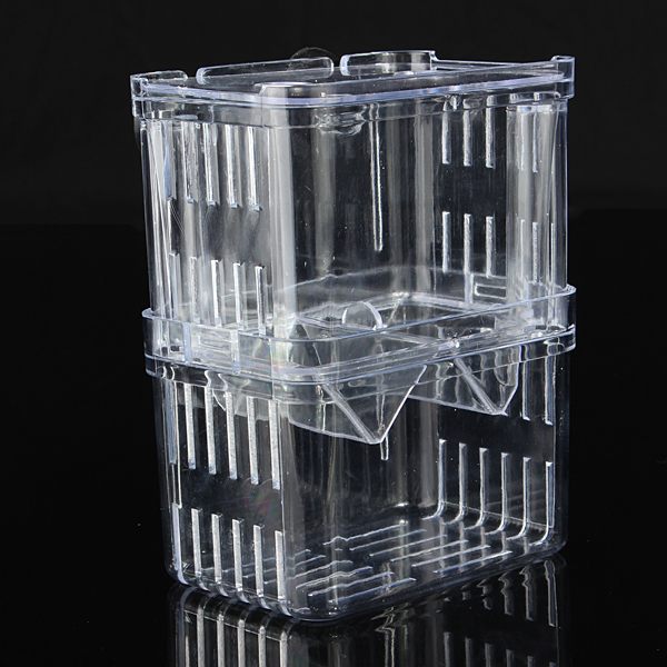 Double-Deck Clear Fish Breeding Isolation Box Aqua... – Vicedeal