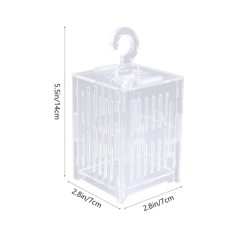 Insect House Bug Box Transparent Insect Cage Grass... – Grandado