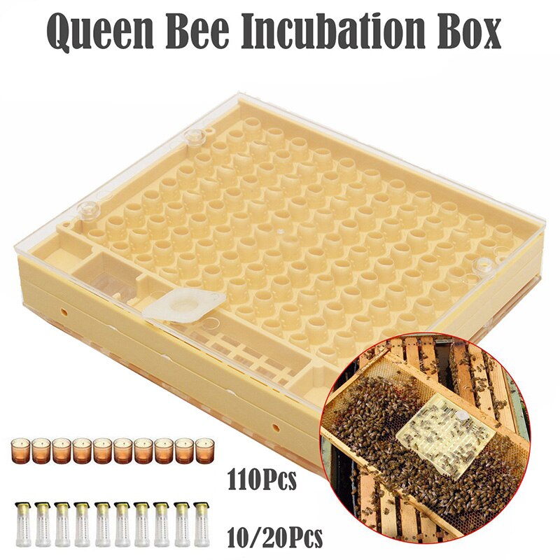 Beekeeping Complete Rearing Cell Cup Set Bee Keepe... – Vicedeal