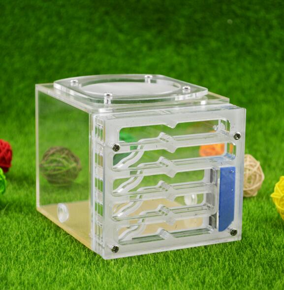 Mini Ant Housing Nest Insect Cage Farms Feed Acryl... – Grandado